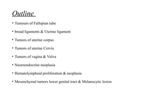fgt part 2.pptxv female genital tract part 2 | PPTX