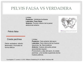 BIOTIPOLOGIA_DE_PELVIS_…………………………...pptx