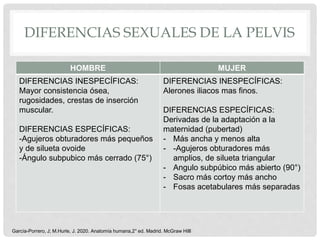 BIOTIPOLOGIA_DE_PELVIS_…………………………...pptx