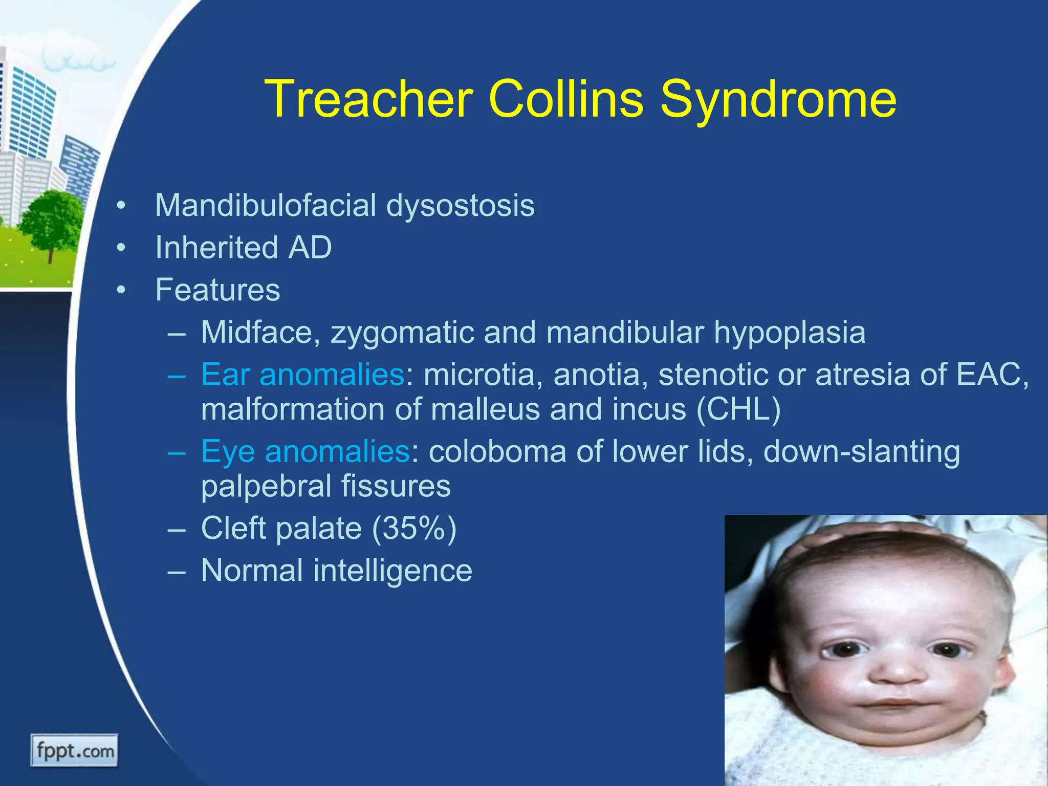Pharyngeal_arches in otolaryngology .ppt