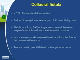 Pharyngeal_arches in otolaryngology .ppt