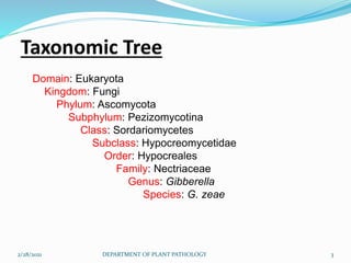 Fhb credit seminar | PPTX