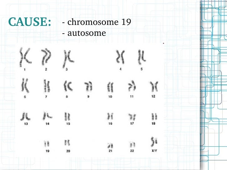 Familial Hypercholesterolemia Karyotype