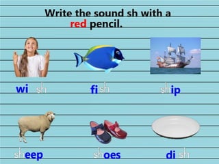 Activities sh | PDF