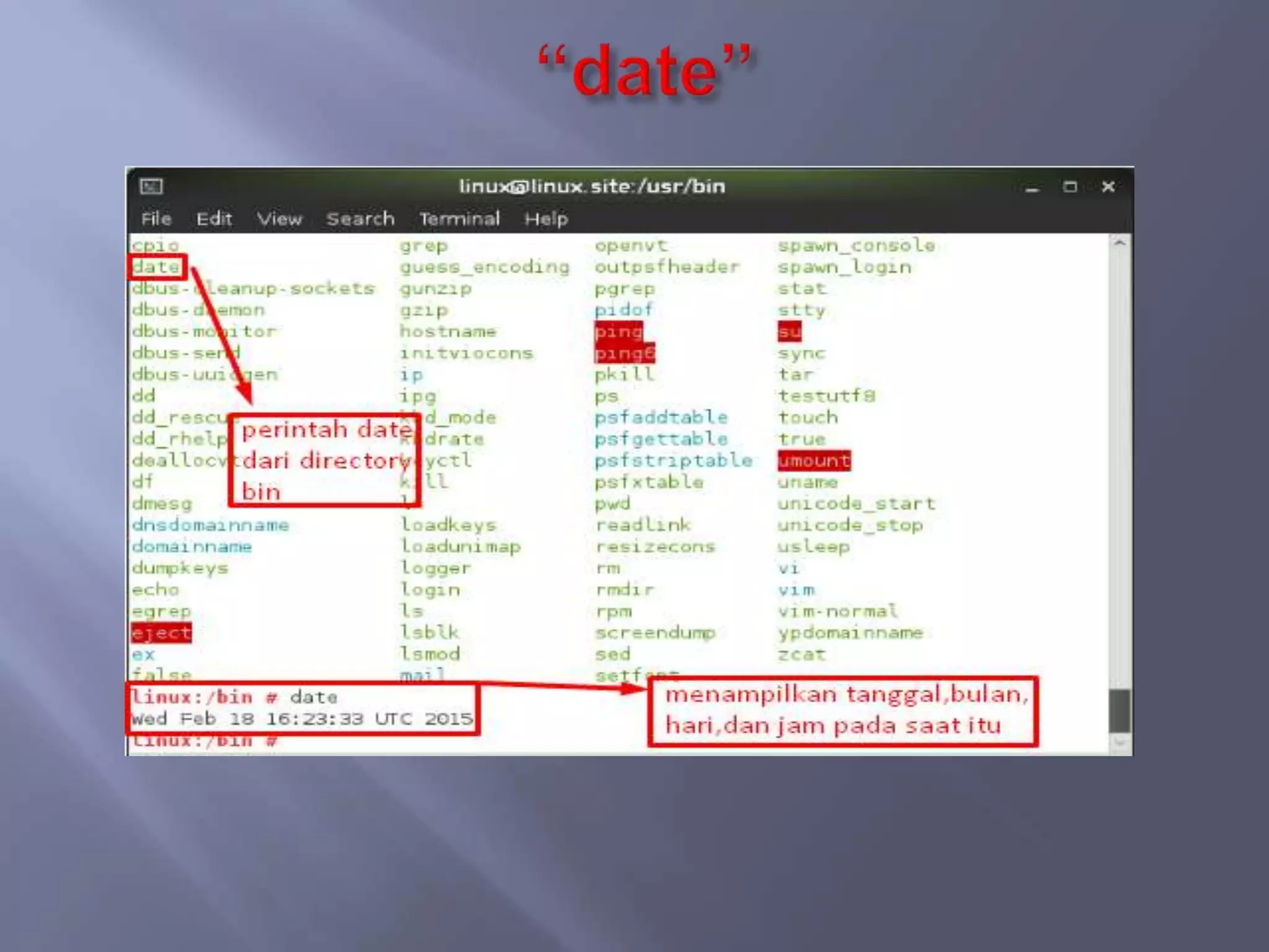 FileSystem Hierarchy Standard (FHS) | PPT