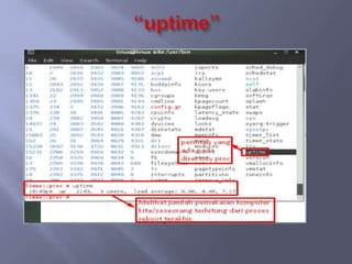 FileSystem Hierarchy Standard (FHS) | PPT