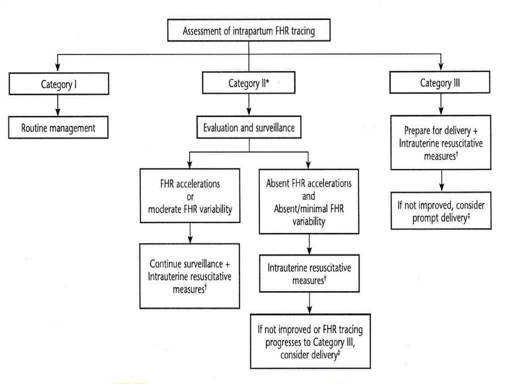 Fht interpretation & management