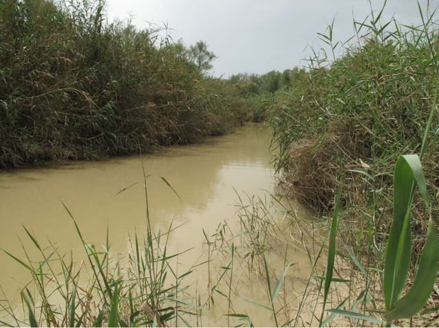 Water Resources & Water Crisis in Israel | PPTX | Geography | Science