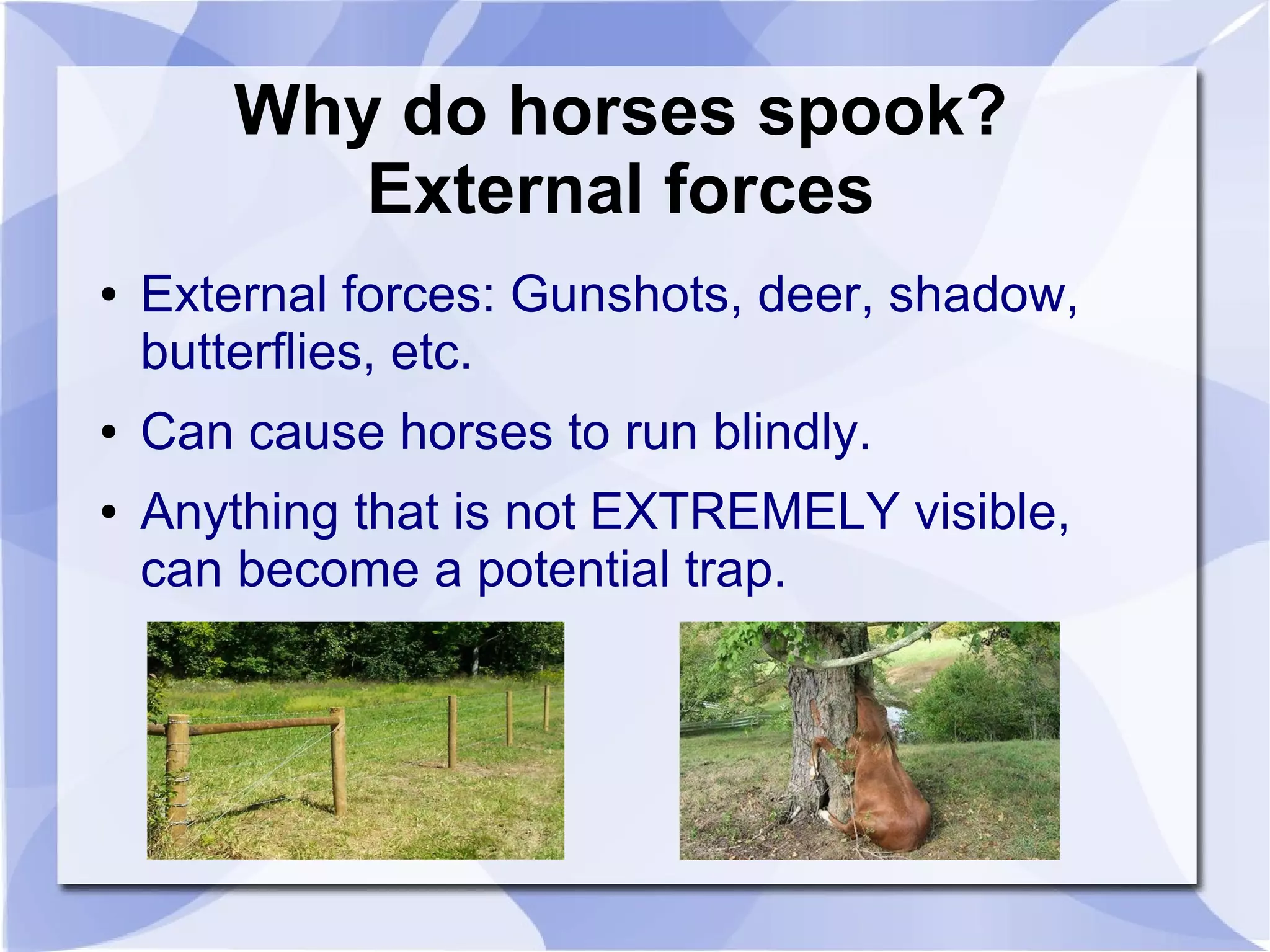 Danger, Danger Everywhere Danger | ODP