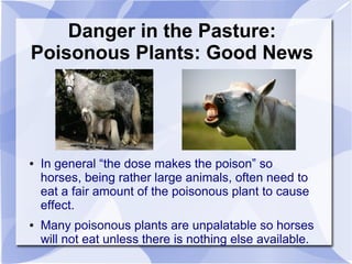 Danger, Danger Everywhere Danger | PPT