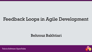 Feedback Loops in Agile Development | PPT