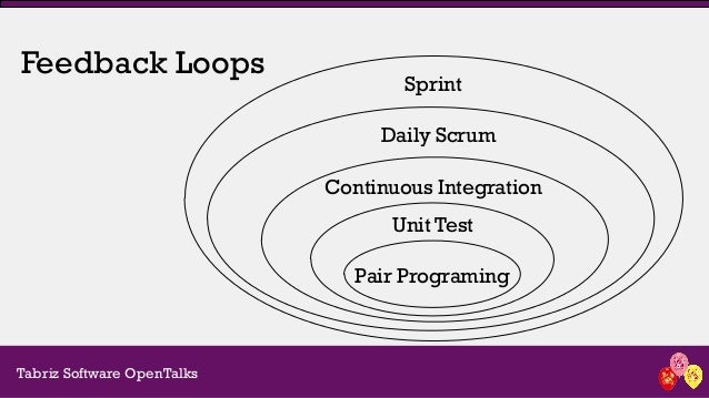 Feedback Loops in Agile Development