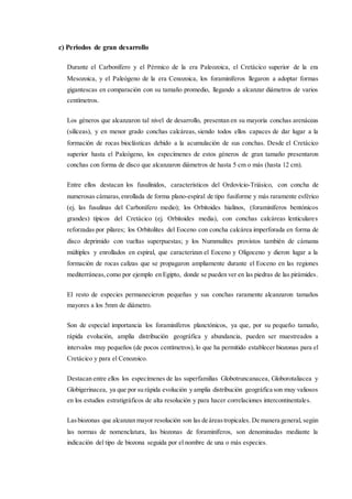 Fhylum protozoa y foraminiferos | DOCX