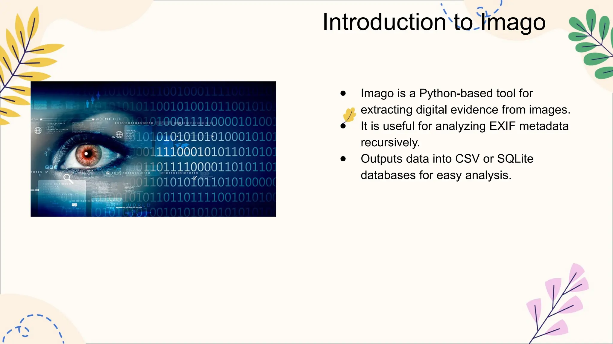 FIA - forensic image analysis for CSI .pptx