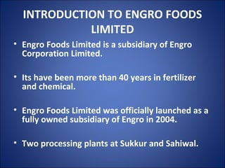 Verticle and horizental analysis of engro foods | PPT
