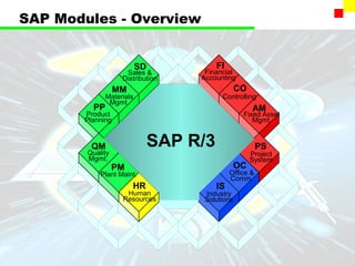 SAP FI - Accounts Receivable | PPT