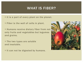 Fiber | PPTX