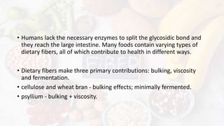Fiber.pptx