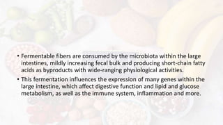 Fiber.pptx