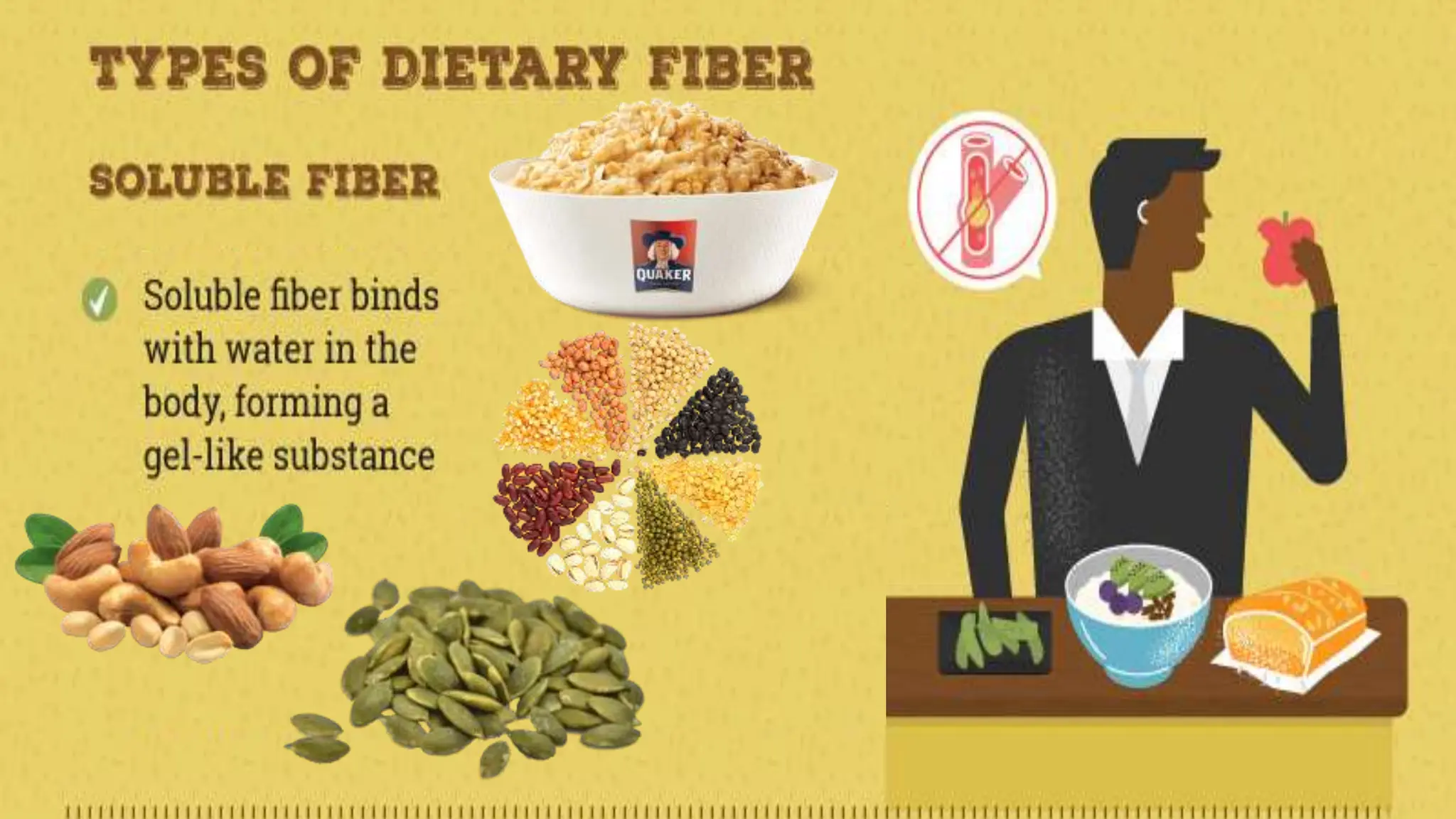 Fiber - The importance of dietary fiber in our diet | PPTX