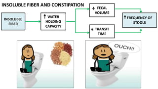 Fiber - The importance of dietary fiber in our diet | PPTX