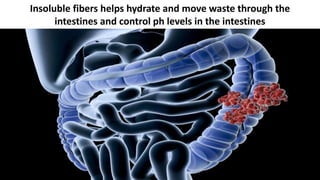 Fiber - The importance of dietary fiber in our diet | PPTX