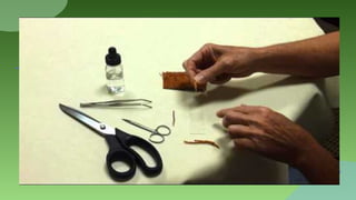 High School Forensic Science Fiber analysis ppt.pptx