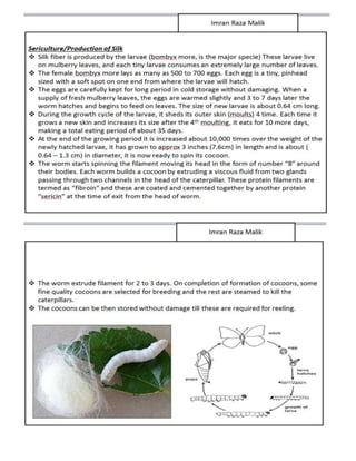 Fiber and silk lecture for students | PDF