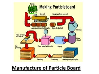 Fiber board and Particle Board | PPTX