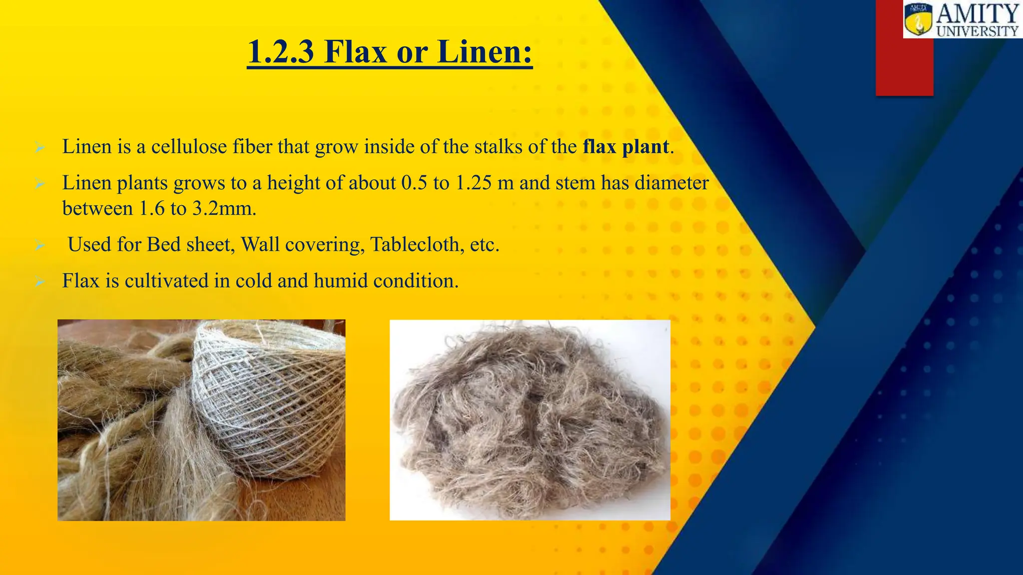 Fiber Classification Class PPT for sem-1.pptx