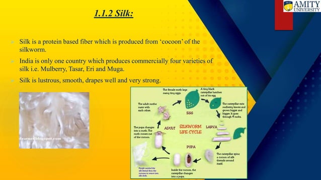 Fiber Classification Class PPT for sem-1.pptx