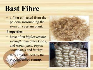 FIBERCRAFTPPT.pptx