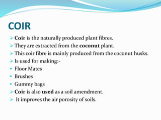 Fiber crops | PPTX