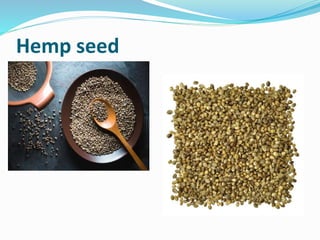 Fiber crops | PPTX