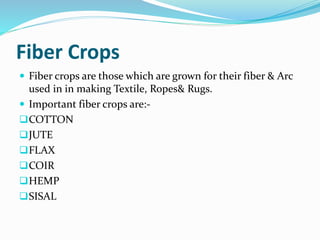 Fiber crops | PPTX