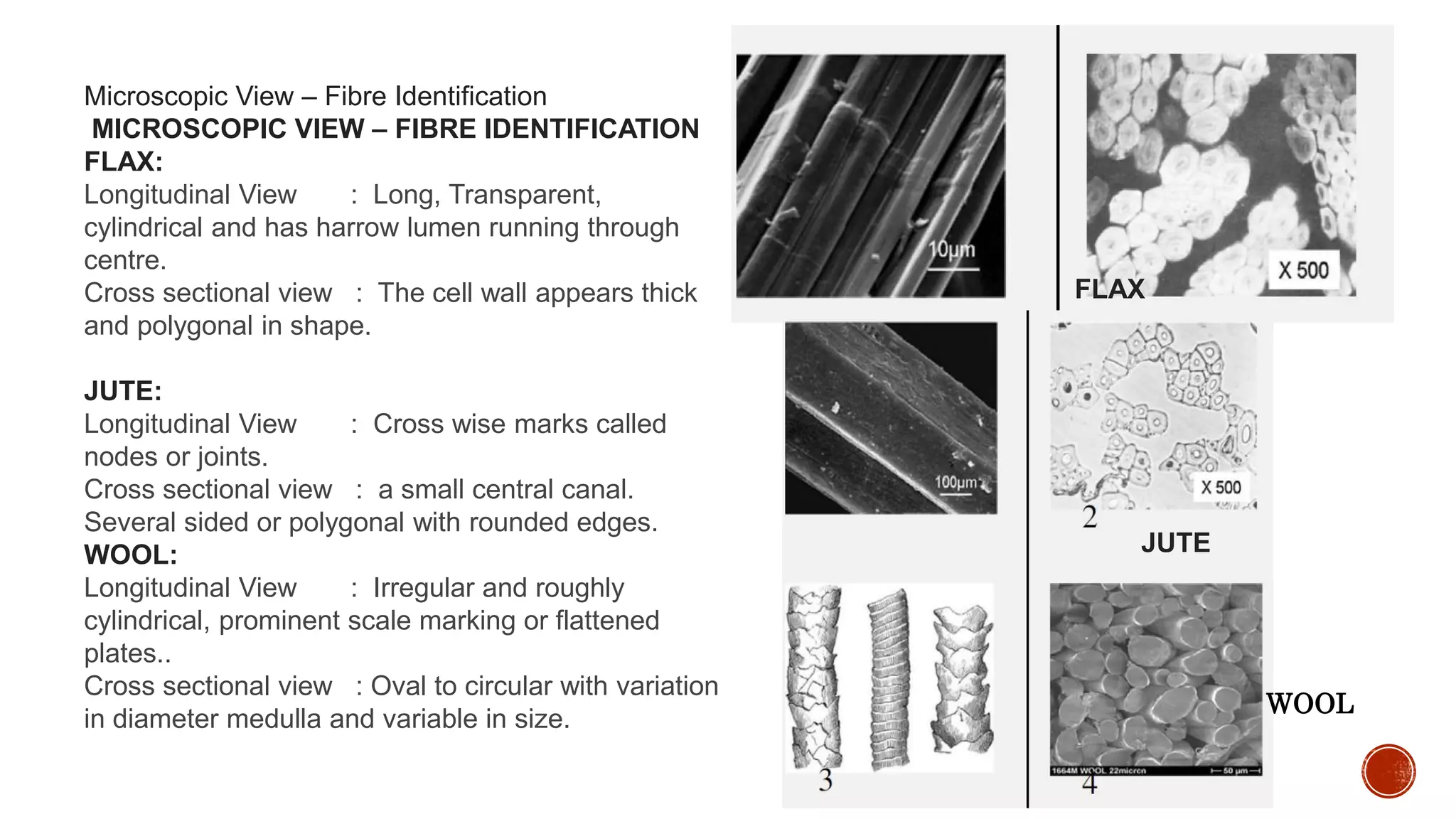 Fiber examination.pptx