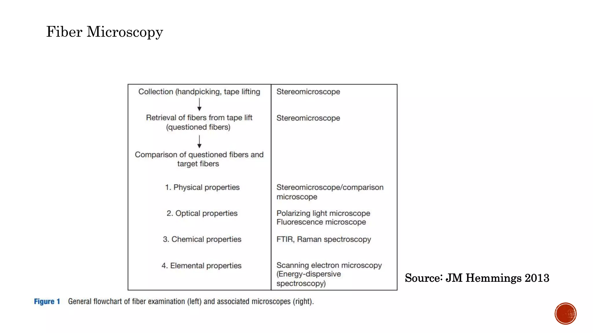 Fiber examination.pptx