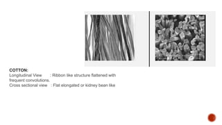 Fiber examination.pptx