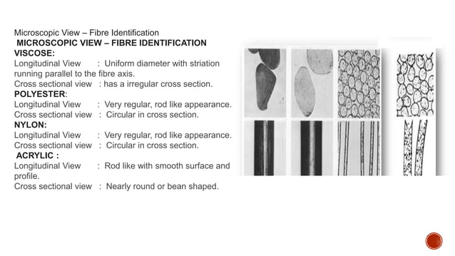 Fiber examination.pptx