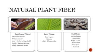 Fiber examination.pptx