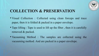 Fiber & Examination of fibers | PPTX