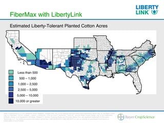 FiberMax Cotton - 2012 LibertyLink Varieties | PDF
