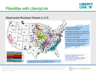 FiberMax Cotton - 2012 LibertyLink Varieties | PDF