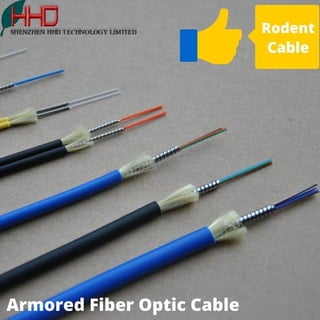 Fiber optic cable | PDF