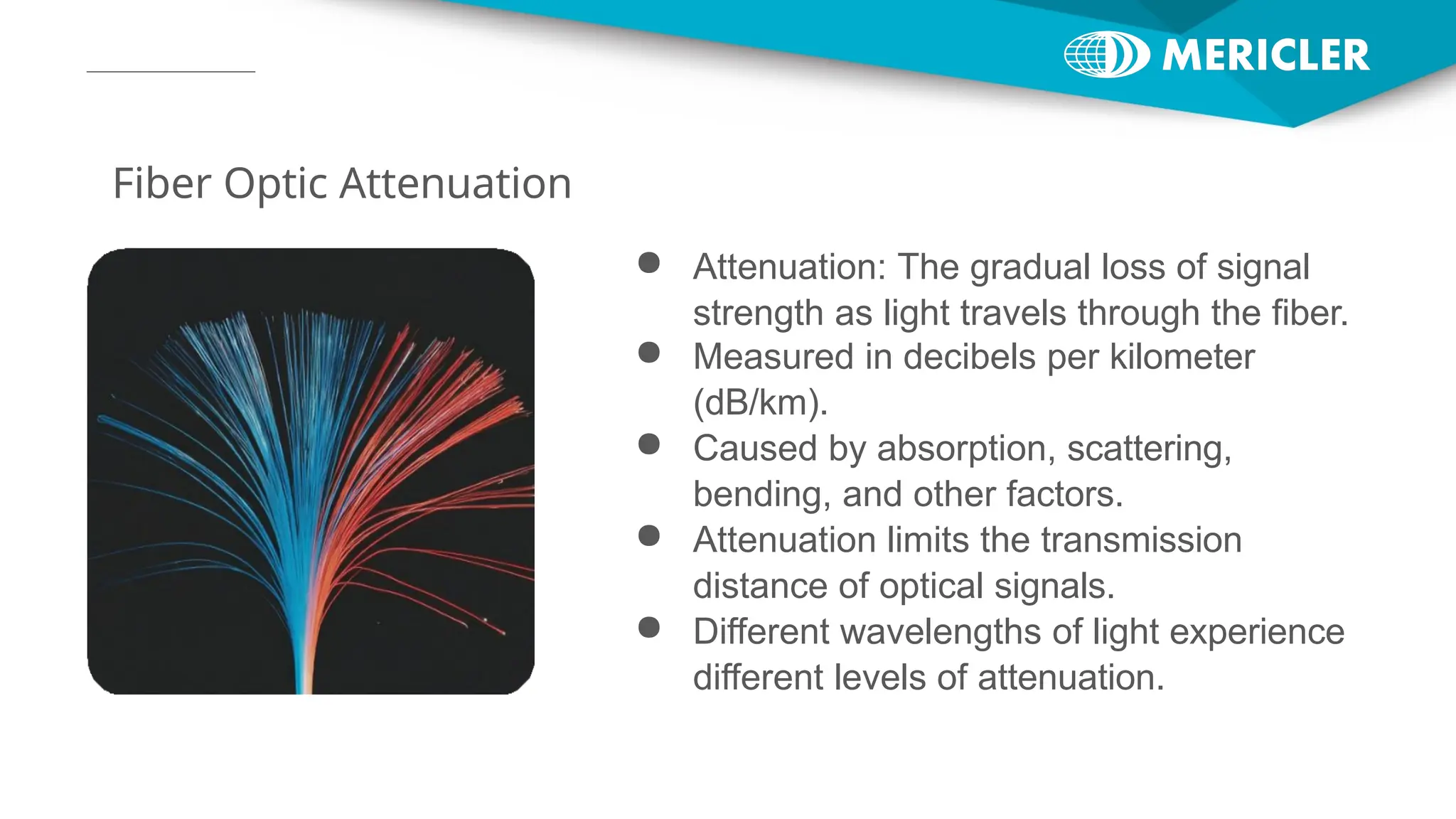 Fiber Optic Wavelength Division Multiplexing Training - Mericler 2024.pptx