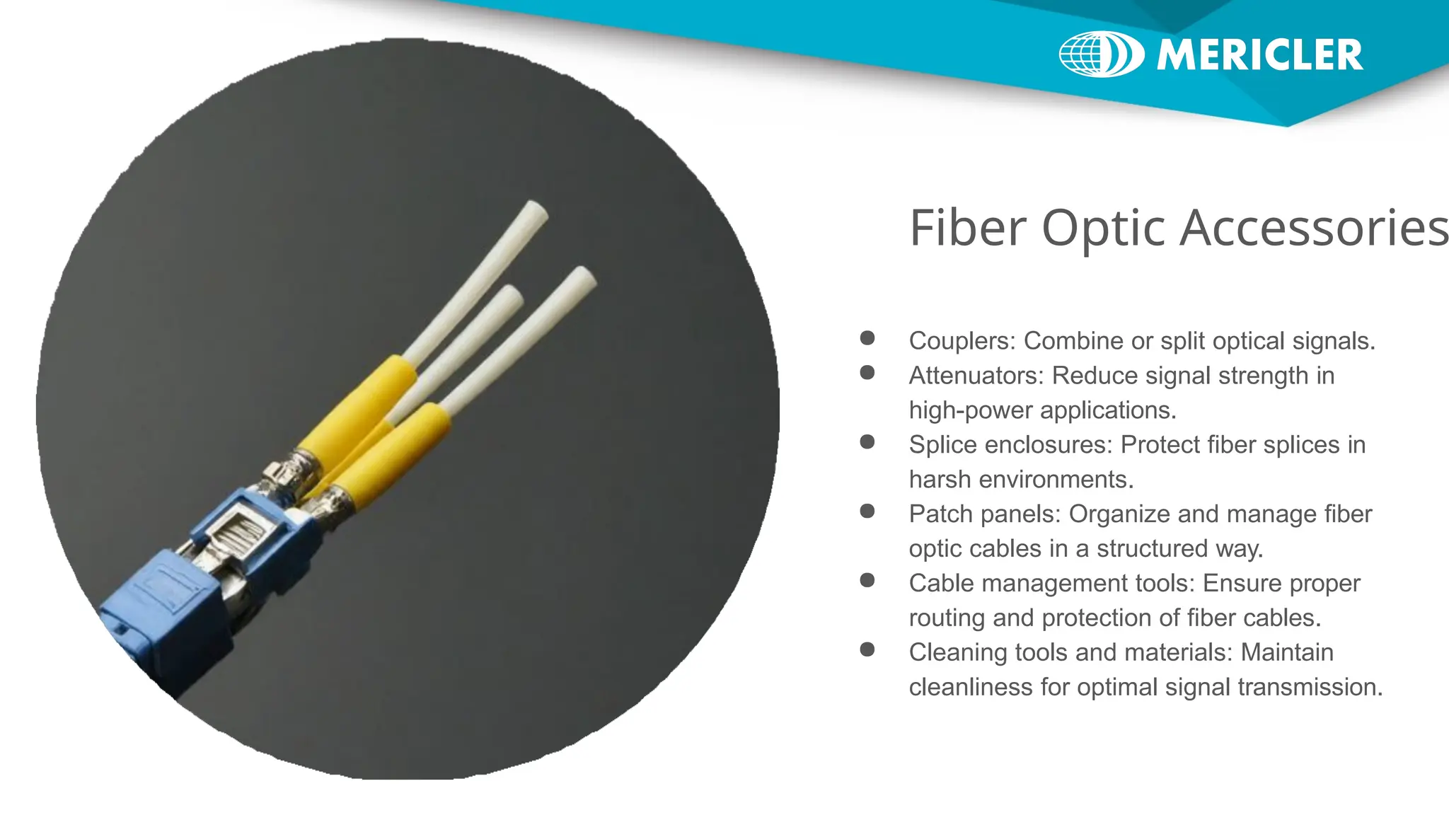 Fiber Optic Wavelength Division Multiplexing Training - Mericler 2024.pptx