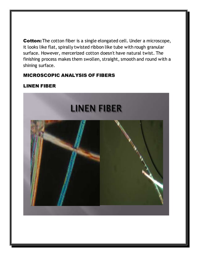 Identification Fibers report | DOCX