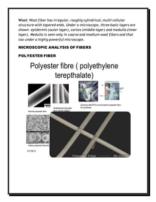 Identification Fibers report | DOCX