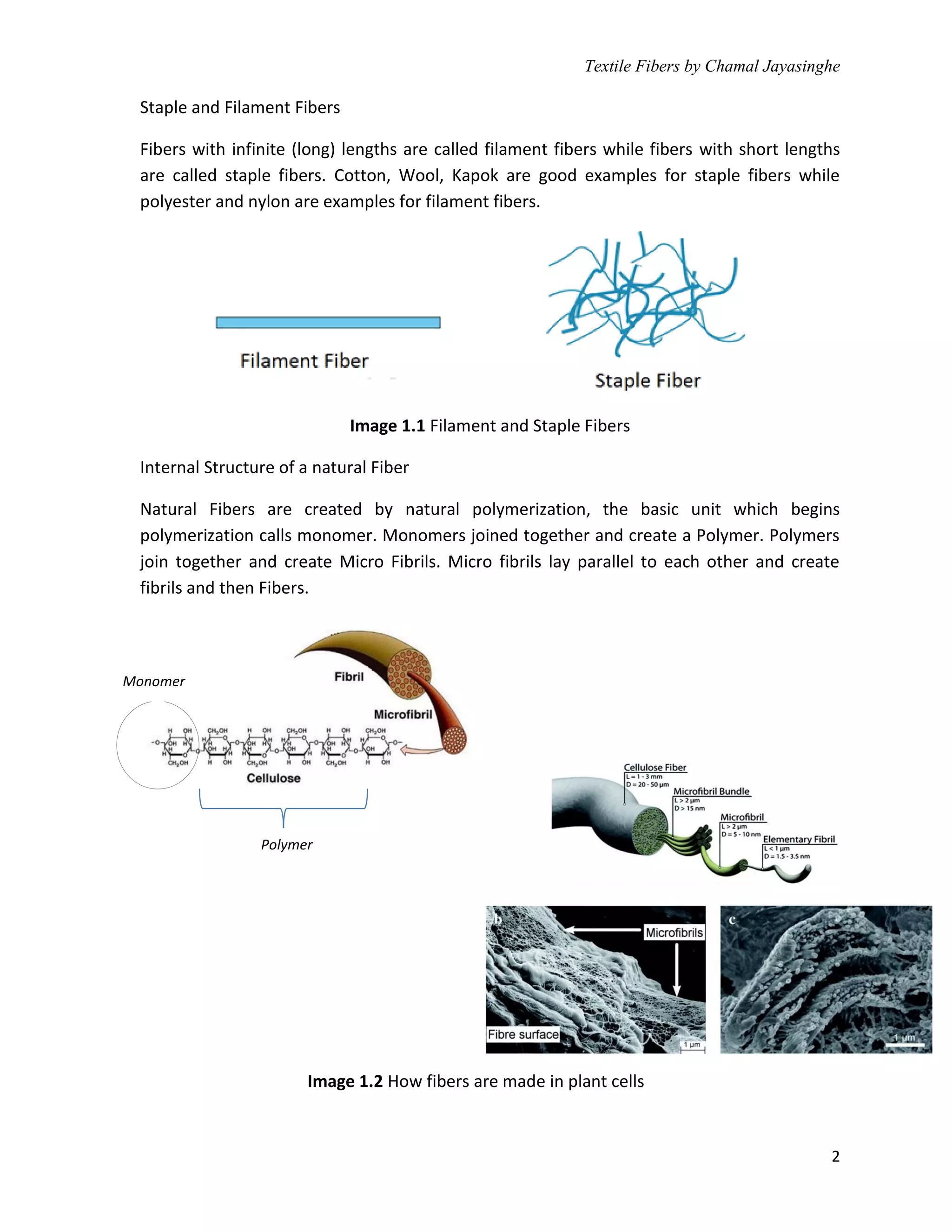 Fiber Science - Basics | PDF