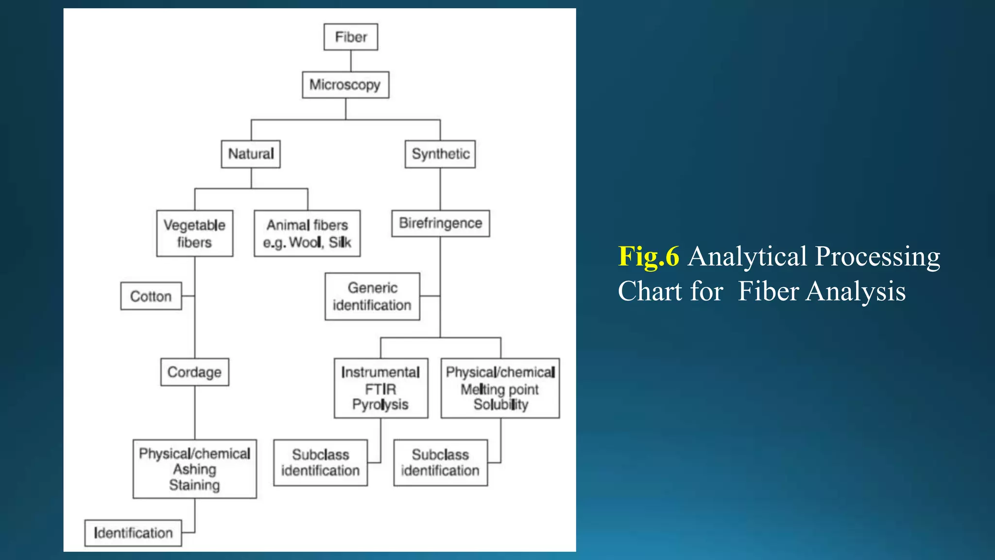 Forensic Fiber Analysis | PPTX